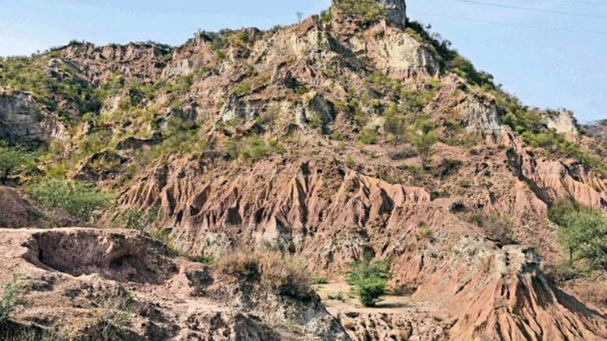 Punjab’s Masol remains ‘unprotected’ despite discovery of oldest ...