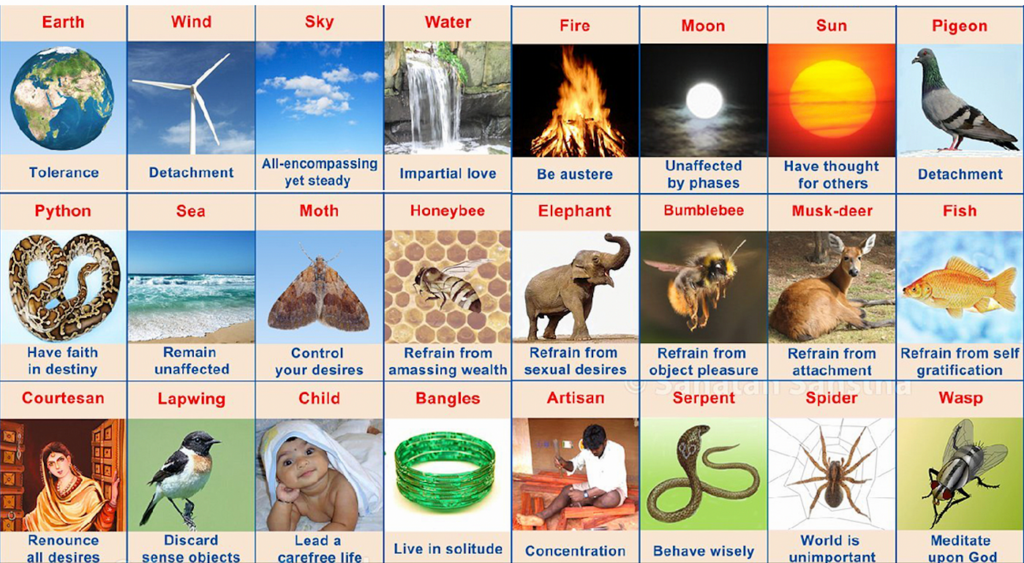 24 Gurus learning from the nature - The Daily Guardian