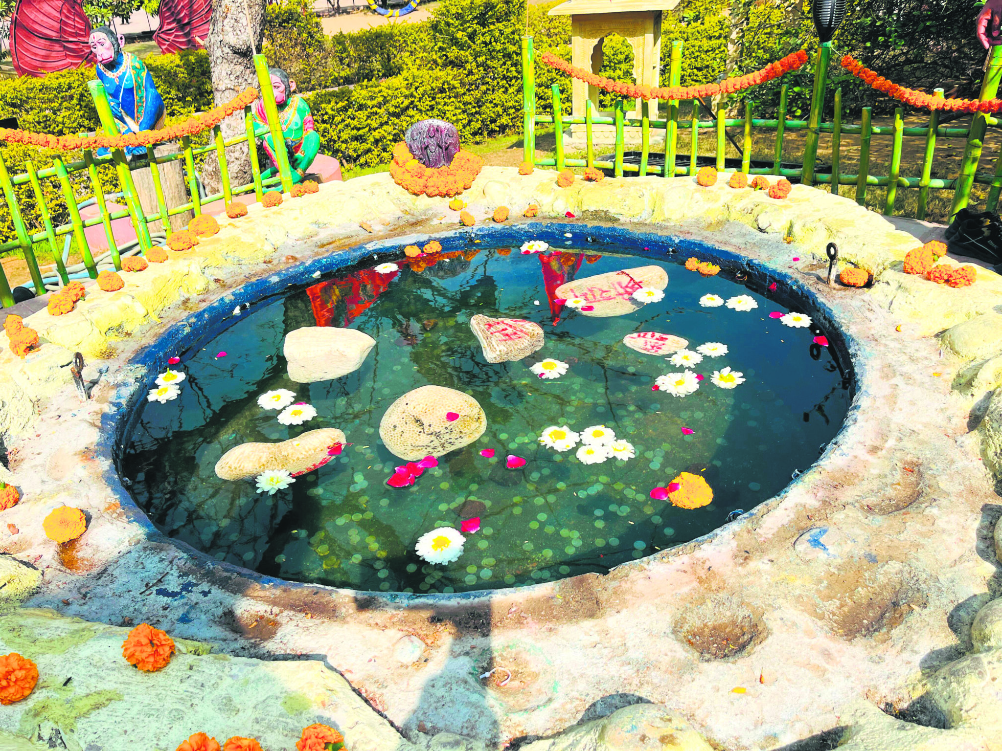 Sacred Marvels: Pooja for Ram Setu’s Floating Stones and Unveiling of ...