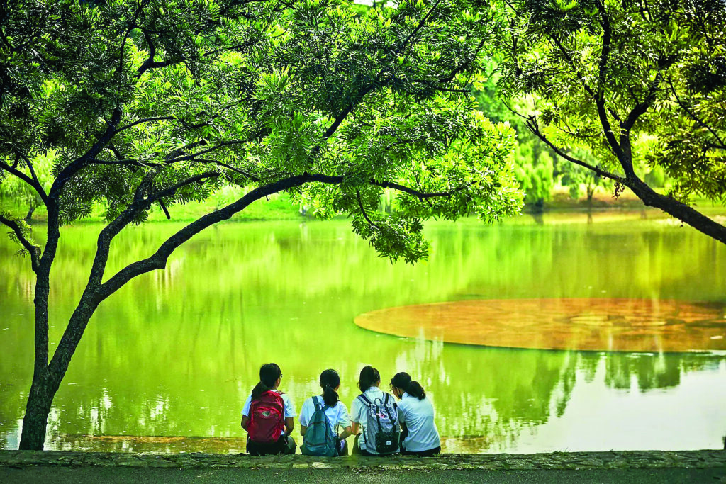 Enhancing Community Engagement & Environmental Stewardship - The Daily ...