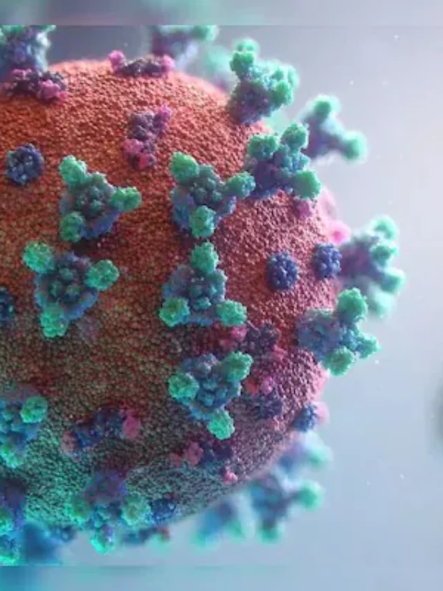 New XEC Covid Variant Spreading Fastly All You Need To Know About