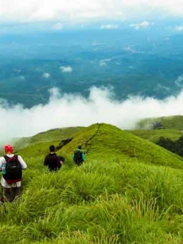 Trekking In Wayanad: 9 Best Trails For Adventure Seekers