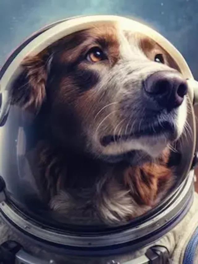 Space Pioneers: Animals That Went Before Humans